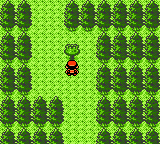 Violet City | Pokémon Wiki | Fandom