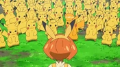 A Plethora of Pikachu! | Pokémon Wiki | Fandom