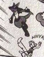 Maylene (DPA) | Pokémon Wiki | Fandom