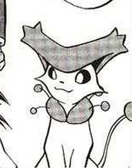 Kiki | Pokémon Wiki | Fandom