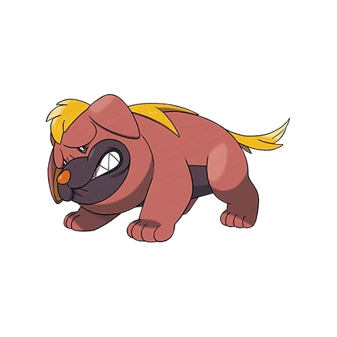 Maschiff | Pokémon Wiki | Fandom