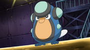 Palpitoad | Pokémon Wiki | Fandom