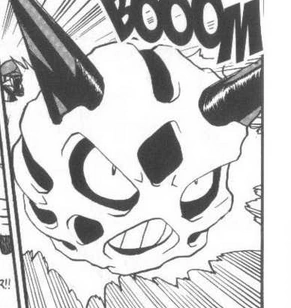 Pokemon Grenzgehirne Noland