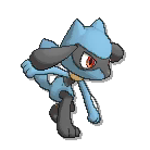 Riolu | Pokémon Wiki | Fandom