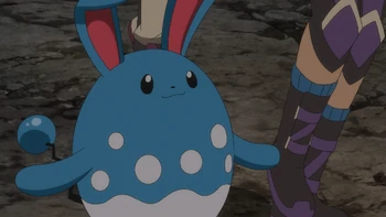 Danika's Azumarill | Pokémon Wiki | Fandom