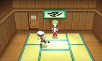 Petalburg City Gym | Pokémon Wiki | Fandom