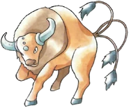 Tauros | Pokémon Wiki | Fandom