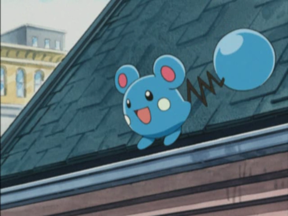 Azurill (anime) | Pokémon Wiki | Fandom