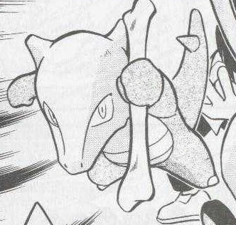 Miles' Marowak | Pokémon Wiki | Fandom