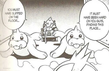 Pryce's Seel (Adventures) | Pokémon Wiki | Fandom