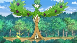 Lucius' Arboliva | Pokémon Wiki | Fandom