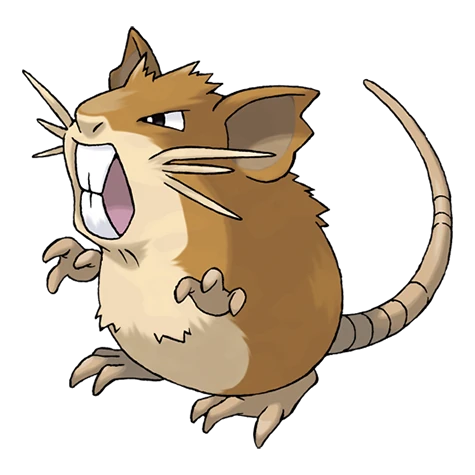 Raticate | Pokémon Wiki | Fandom