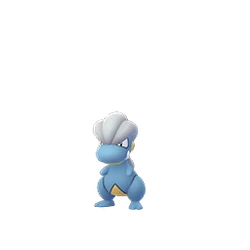 Bagon Evolution Pokemon X