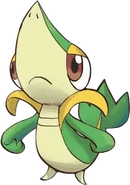 Snivy | Pokémon Wiki | Fandom