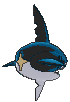 Sharpedo | Pokémon Wiki | Fandom
