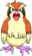 Pidgey | Pokémon Wiki | Fandom