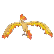 Moltres | Pokémon Wiki | Fandom