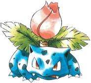 Ivysaur | Pokémon Wiki | Fandom
