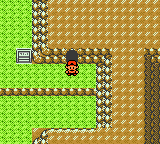 Route 44 | Pokémon Wiki | Fandom