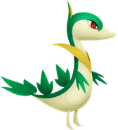 Servine | Pokémon Wiki | Fandom