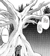 Xerxer | Pokémon Wiki | Fandom