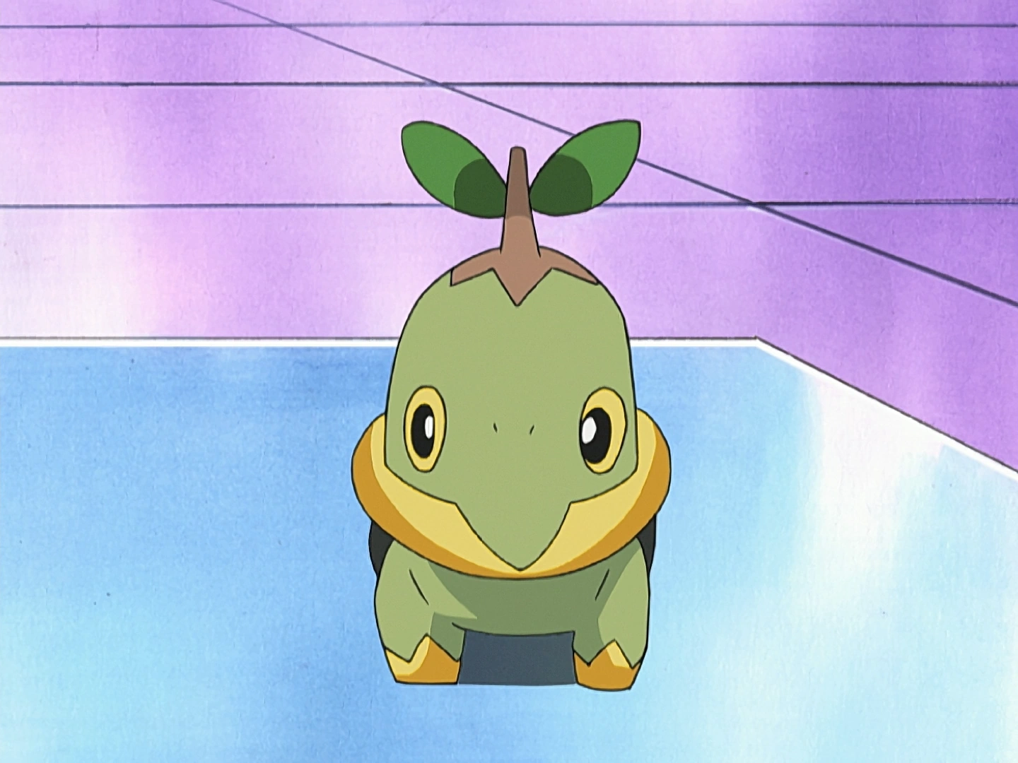 Professor Rowan's Turtwig | Pokémon Wiki | Fandom