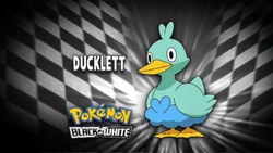 BW020: Dansen met het Ducklett Trio! | Nederlandse Pokémon Wiki | Fandom