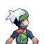 Brendan | Pokémon Wiki | Fandom