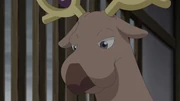 Stantler | Pokémon Wiki | Fandom