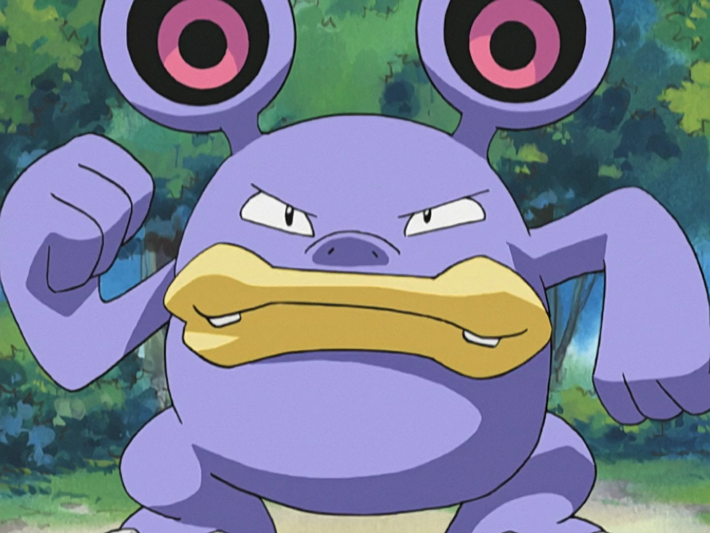 Mitch's Loudred | Pokémon Wiki | Fandom