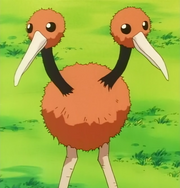 Doduo | Pokémon Wiki | Fandom
