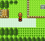 Route 33 | Pokémon Wiki | Fandom