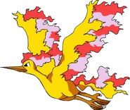 Moltres | Pokémon Wiki | Fandom