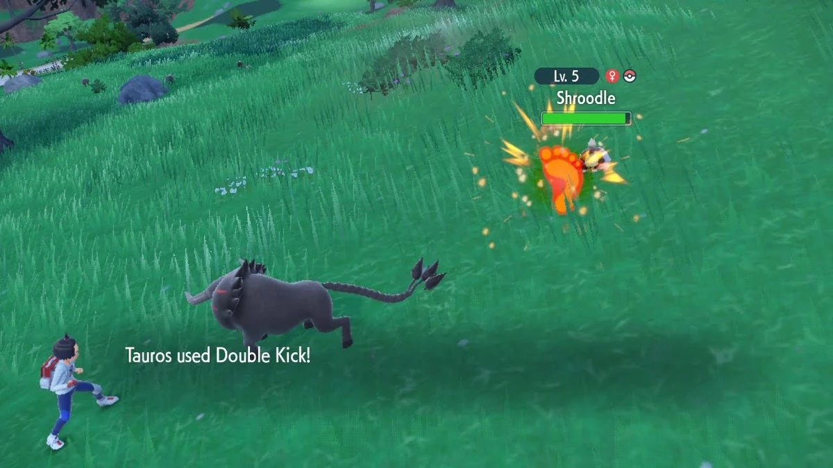 Double Kick | Pokémon Wiki | Fandom