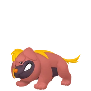 Maschiff | Pokémon Wiki | Fandom