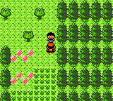 Route 37 | Pokémon Wiki | Fandom