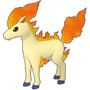 Ponyta | Pokémon Wiki | Fandom