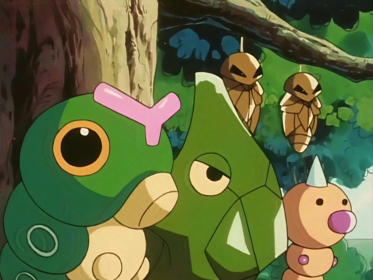 Bugsy's Weedle | Pokémon Wiki | Fandom