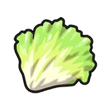 Lettuce | Pokémon Wiki | Fandom