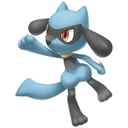 Riolu | Pokémon Wiki | Fandom