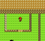 Route 4 (Kanto) | Pokémon Wiki | Fandom