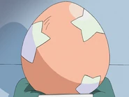 Pokémon Egg | Pokémon Wiki | Fandom