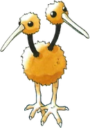 Doduo | Pokémon Wiki | Fandom