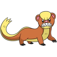 Yungoos | Pokémon Wiki | Fandom