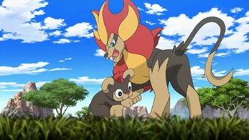 A Dancing Debut! | Pokémon Wiki | Fandom
