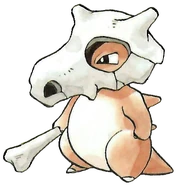 Cubone | Pokémon Wiki | Fandom