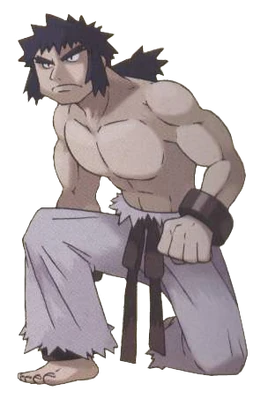 Bruno | Pokémon Wiki | Fandom