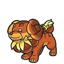 Fidough | Pokémon Wiki | Fandom