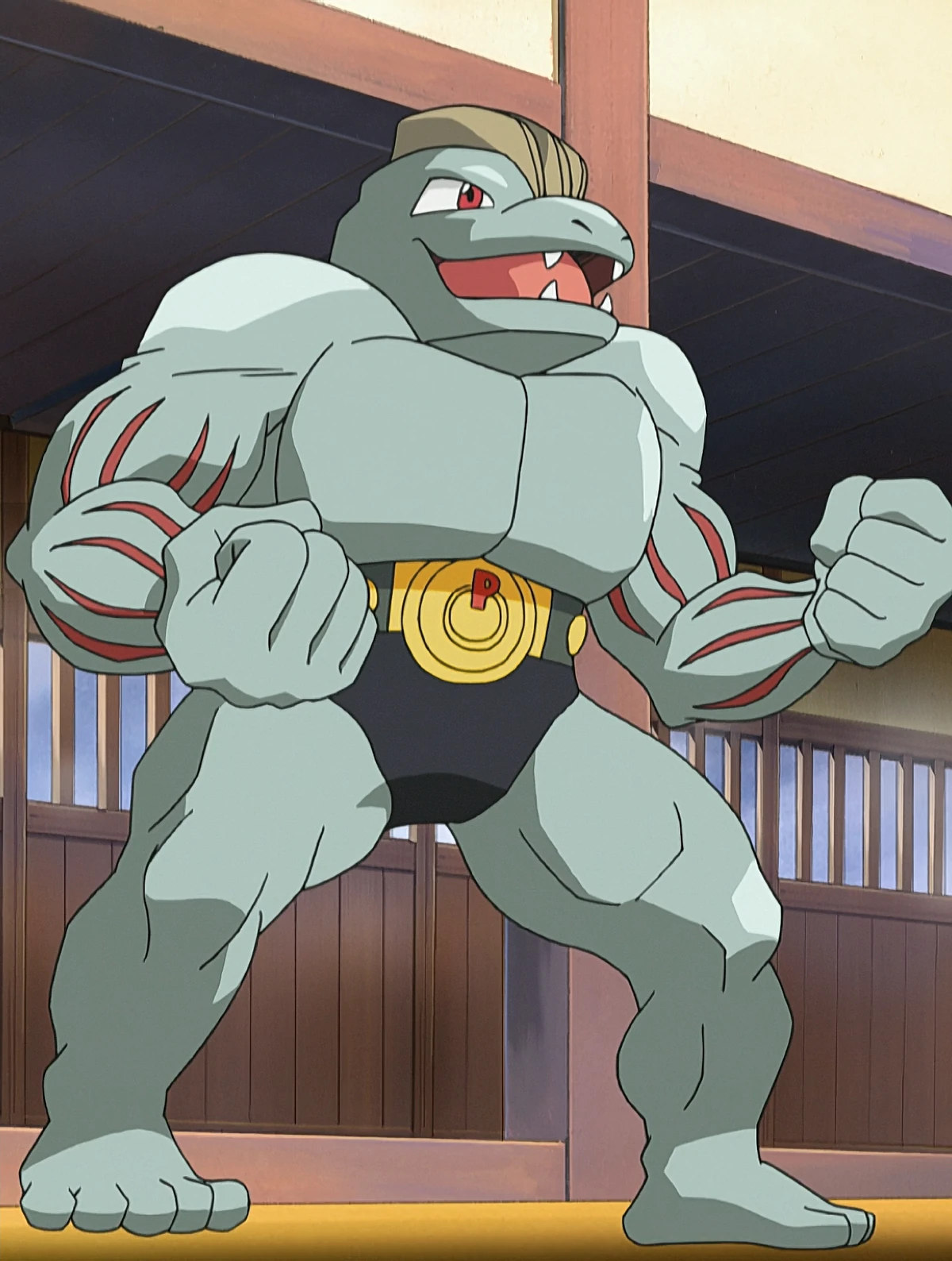 Maylene's Machoke (anime) | Pokémon Wiki | Fandom