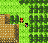 Route 32 | Pokémon Wiki | Fandom